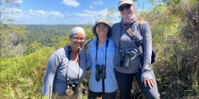 Puerto Rico Program Broad-winged Hawk | The Peregrine Fund